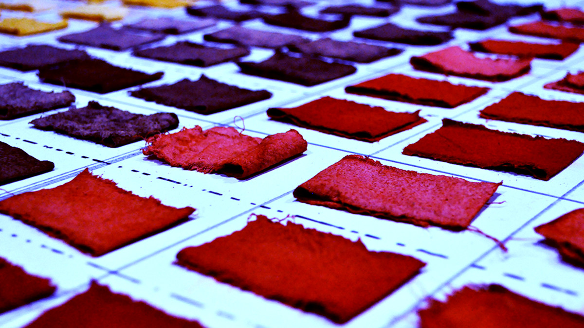 Numune Hazırlığı Hakkında Bilgiler | Enfor